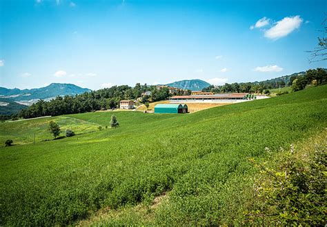 Fattoria Monte Di Bebbio Dalterfood Group