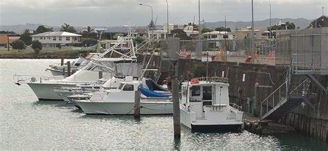 Napier Owners Barred From Accessing Boats At Condemned Wharf Nz Herald