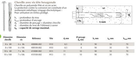 Cheville Plastique Diamètre 8 Et 10 Avec Vis Zinguée Tête Hexagonale