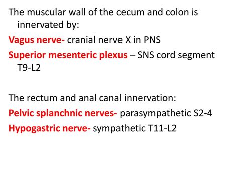 PELVIC FLOOR Ppt Download