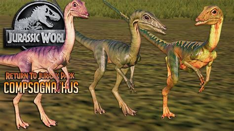 Compsognathus Jurassic Park