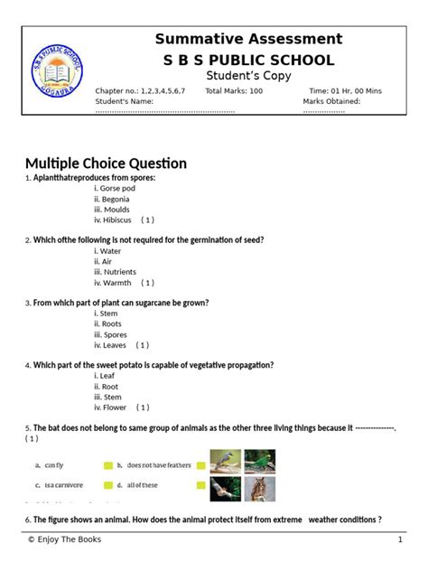 Anatomy And Physiology Summative Test Pdf Brain Brainstem