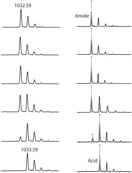 Test Data For Deconvolution Of Mass Spectra A Series Of Spectra Were