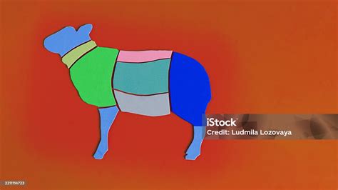 A Closeup Diagram Of A Lamb Carcass On A Bright Red Background Stock