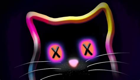 How To Win A Quantum Cat By Taproot Wizards