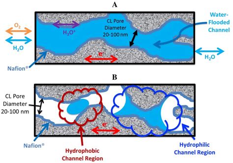 cross sectional side view of a water flooded cl pore and b engineered