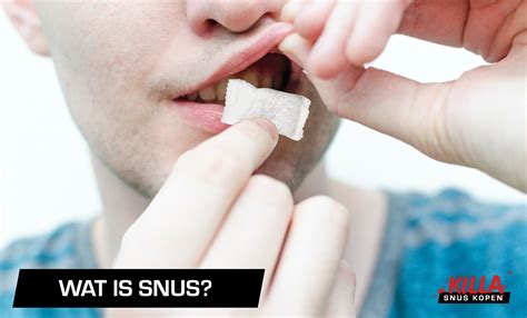 Wat Is Snus Nicotinee