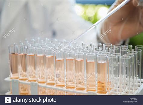 Unveiling The Versatility Of Lab Tubes With Bulbs A Comprehensive Exploration