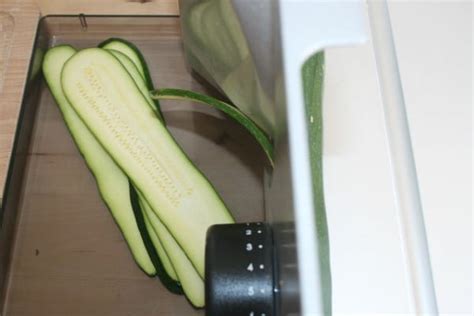 How To Grow Zucchini From Scraps A Beginners Guide Greenthumbsguide