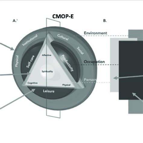 The Canadian Model Of Occupational Performance And Engagement Cmop E