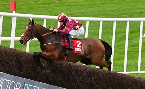 Minella Indo Returns To Hurdles At Navan