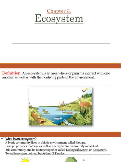 Chapter 3ecosystem Pdf Ecosystem Herbivore