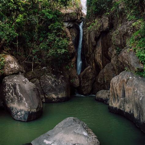 List 98 Pictures El Yunque National Forest Photos Completed