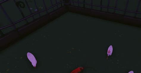 Roach Sized Chicken Or Album On Imgur