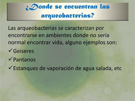 Ppt Asignatura Ciencias Naturales Biología Tema Las