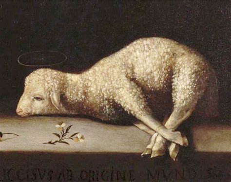 Passover Lamb The Herald