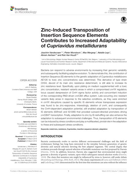 Pdf Zinc Induced Transposition Of Insertion Sequence Elements