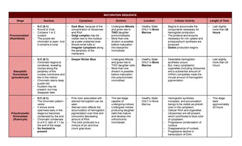 Maturation Sequence Of Rbc Maturation Sequence Stage Nucleus