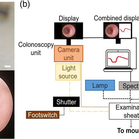 Integrated Colonoscopy System Setup And In Vivo Visualization A