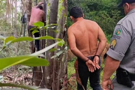Condenado Por Estupro Homem é Preso Ao Se Esconder Em Casa Na árvore