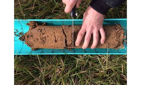 Maximizing Crop Root System Productivity A Comprehensive Guide