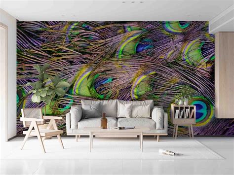 Peacock Feather Design Wallpaper Peacock Colored Feathers Wall Paper
