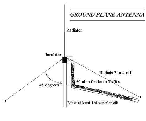 Groundplane Ant