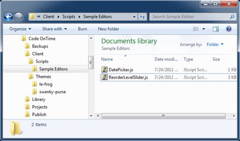 Code On Time Client Library Custom Input Elements
