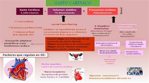 Fisiología Medica I Gasto Cardiaco
