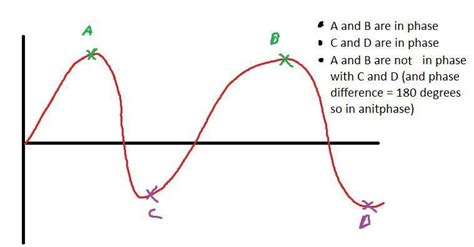 Basics Progressive Waves Flashcards