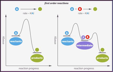 First Order Reaction Graph
