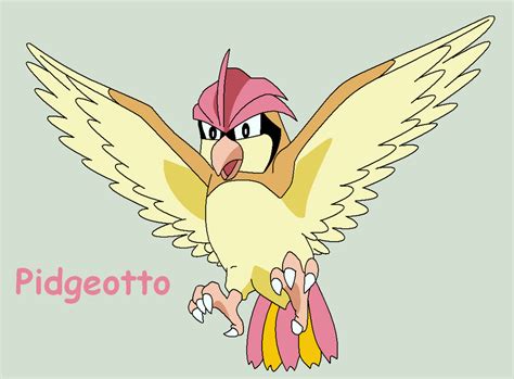 Pidgeotto By Roky320 On Deviantart