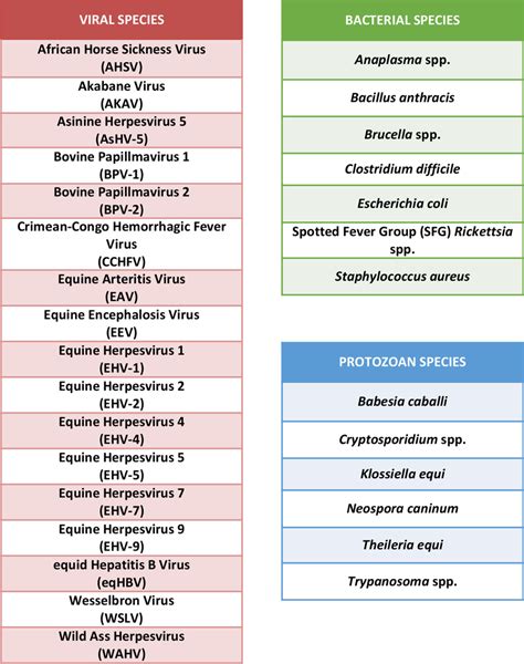 Infectious Agents Associated With Zebra Download Scientific Diagram