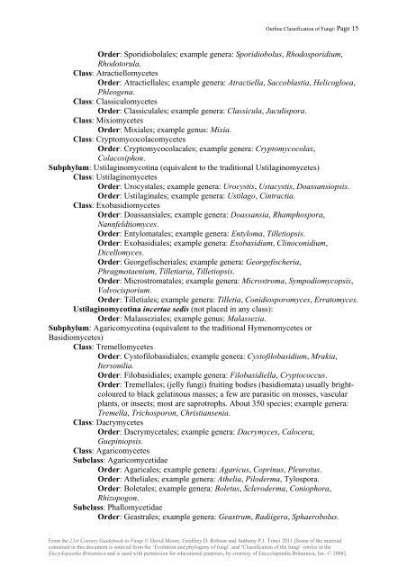 Outline Classification Of