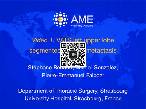 Vats Left Upper Lobe Segmentectomy For Metastasis 10 Available
