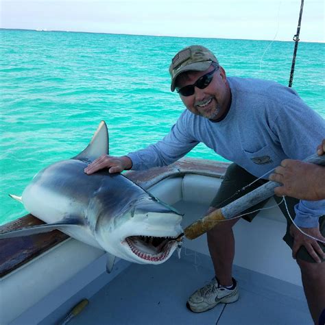 The 15 Best Blacktip Shark Fishing Charters In Destin