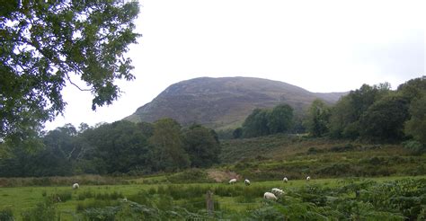 Tom Cadden Community And Politics Our Irish Heritage