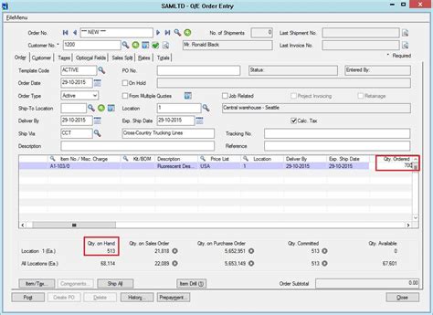 Alternate Items On Order Entry Screen In Sage 300 Erp Sage 300 Erp Tips Tricks And Components