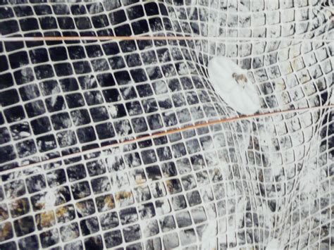 Mastagrid® Mining Grid Fras 2m X 7m Polyfabrics