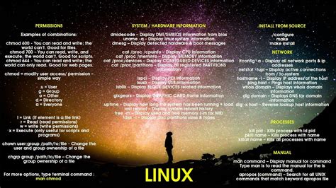 Live Linux Basics Commands YouTube