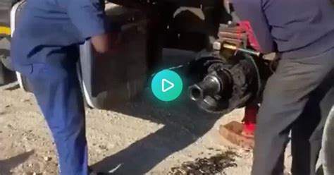 Elephants Taking Advantage Of A Broken Truck Transporting Oranges