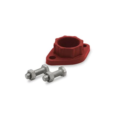 Raven Diflng114r 1 14 Ips Iron Circulator Flange Kit Red 2 Flanges