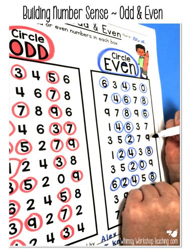 Math 5 Steps To A Successful Program Artofit