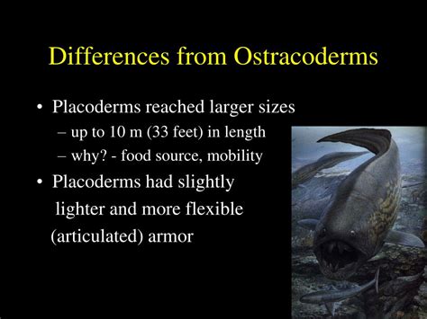 Ppt Fish History And Classification Powerpoint Presentation Free Download Id4406856 Ppt Fish History And Classification Powerpoint Presentation Free Download Id4406856