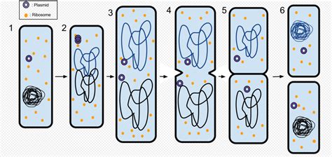 Fission Encyclopedia Mdpi
