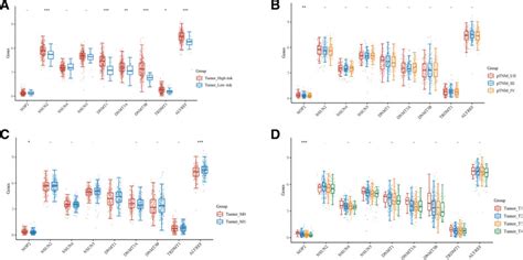 Alyref M5c Rna Methylation Reader Predicts Bladder Cancer Prognosis By Regulating The Tumor