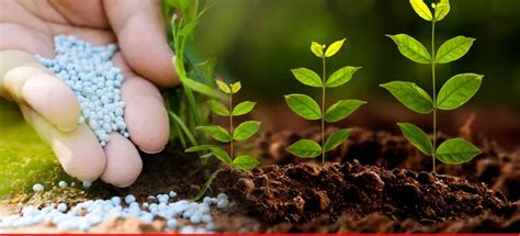 Fertilizer Industry Can Drive Agricultural Transformation Under Green