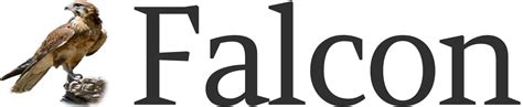 Falcon Full Stack Python