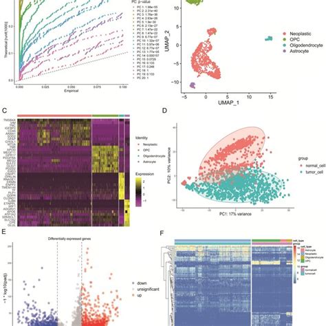 Characteristics Of Single Cell Rna Seq Data And Degs A Jack Straw Download Scientific