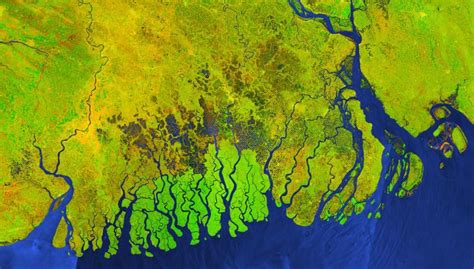 Dr Nitin K Tripathi โพสต์บน Linkedin